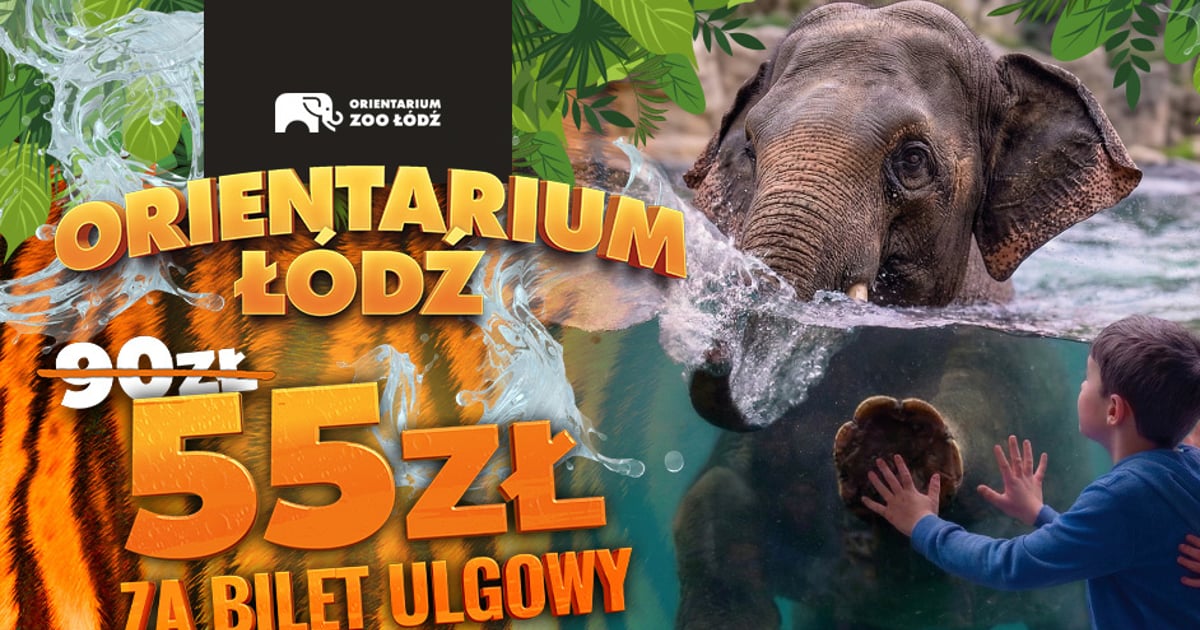 Orientarium Zoo Łódź. Nowy bilet ulgowy za 55 zł i największa w Polsce ...